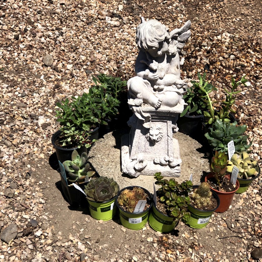 Week 47: 2020 – Sybal's Front Door